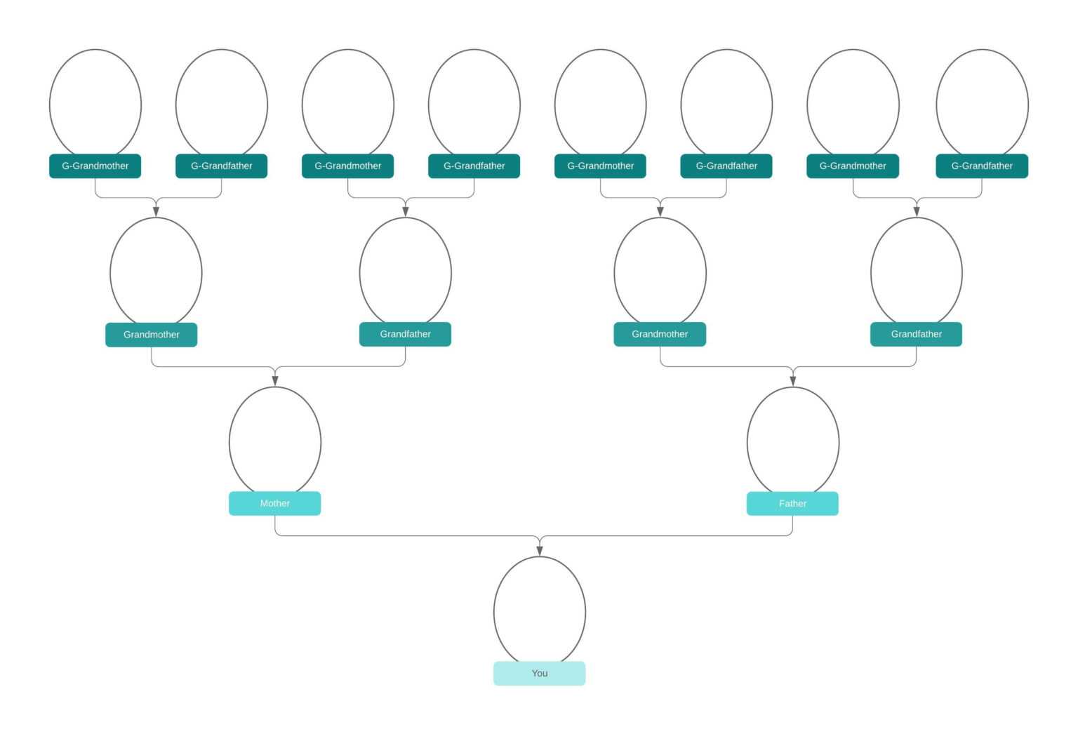 Family Tree Generator | Lucidchart intended for Blank Tree Diagram ...
