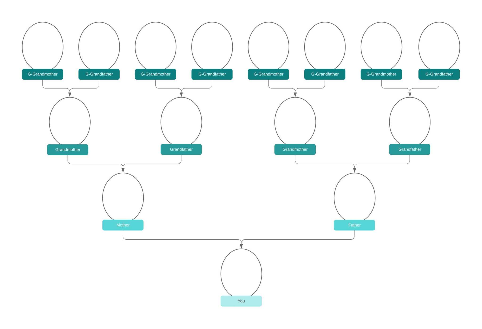 Family Tree Generator | Lucidchart intended for Blank Tree Diagram ...