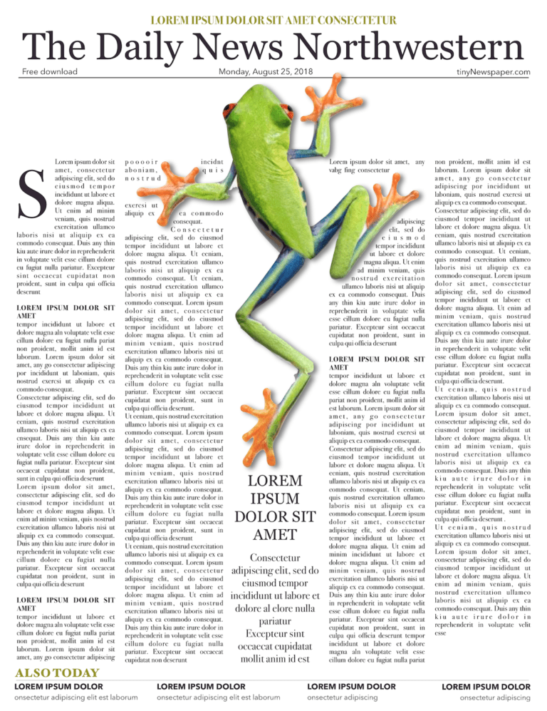 Newspaper Report Template throughout News Report Template – Business ...